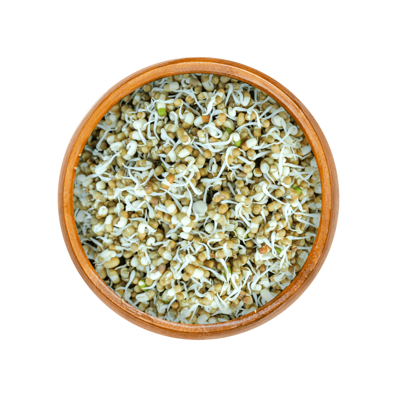 Ruchico Food Industries | Taste of Merriment